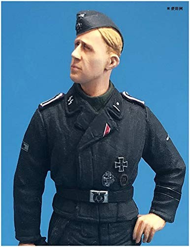 Passion model 1/35 German Waffen-SS decal (rank insignia, emblem set ...
