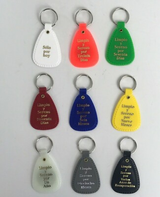 NARCOTICS ANONYMOUS NA KEY TAG Ring Recovery Just For Today 9 Piece ...