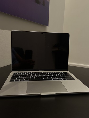Apple MacBook Pro 13” (2017) | 16GB RAM | Intel i5 | 256GB SSD With ...