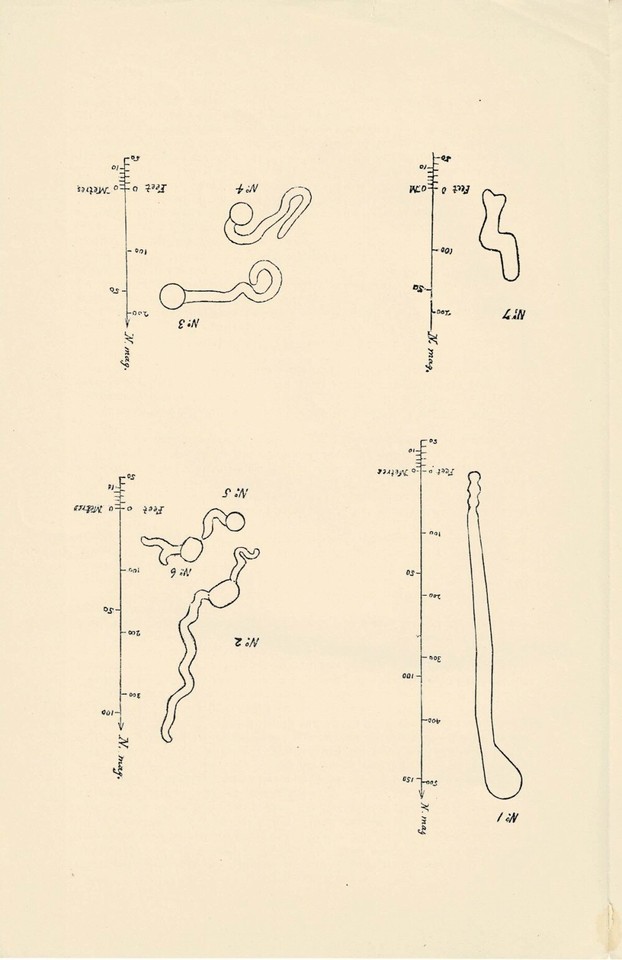 1887 SNAKE AND SNAKE-LIKE MOUNDS IN MINNESOTA by THEODORE HAYES LEWIS ...