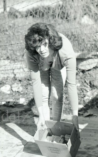 1960er Ron Vogel Negativ - sexy Pinup Girl Marge Martinsen - Cheesecake ...