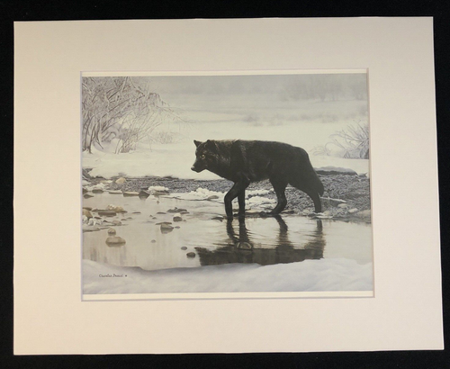 Charles Frace' "THE WANDERER" 11 x 14 Matted Grey Wolf Wildlife Print ...