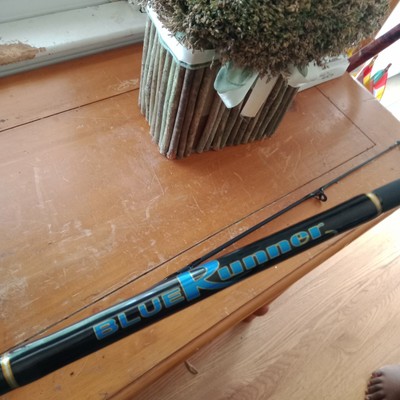 Spinning - Quantum Rods