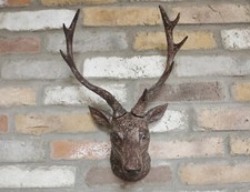 Mounted Stags Head for sale | eBay