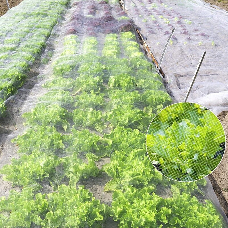 Garden Protect Netting Vegetable/Crop Plant Fine Mesh Bird/Insect ...