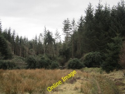 Photo 6x4 Windthrown trees, Roscobie Muir Bowershall Damage from the ...