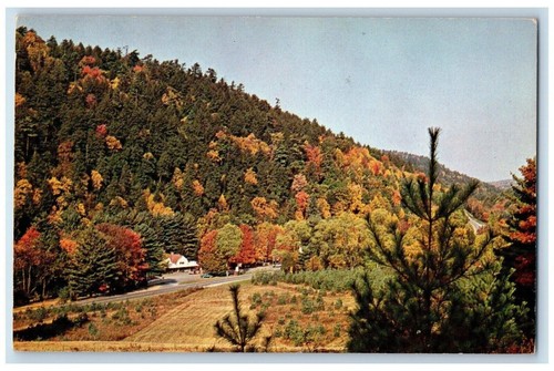 c1960's Cook Forest State Park State Route 36 Cooksburg Pennsylvania PA ...
