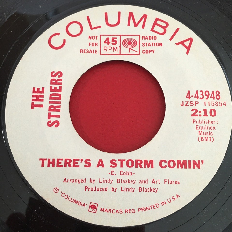 EXC. The STRIDERS Promo 45 . GARAGE BAND. Am I On Your Mind . LINDY ...