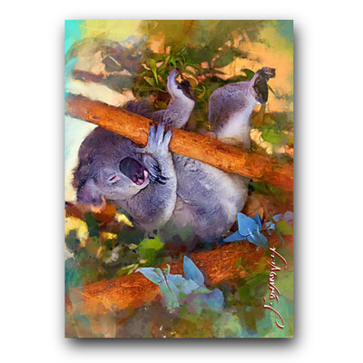 Koala Bear #4 Art Card Limited 1/50 Edward Vela Signed (Animals -) | eBay