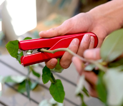 Professional Rose Leaf Thorn Stripper Tool, Rose Pricker Remover | eBay ...