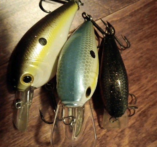 (3) Bass Pro Shops XPS Shallow Running Fishing Crankbaits Lures Multi ...