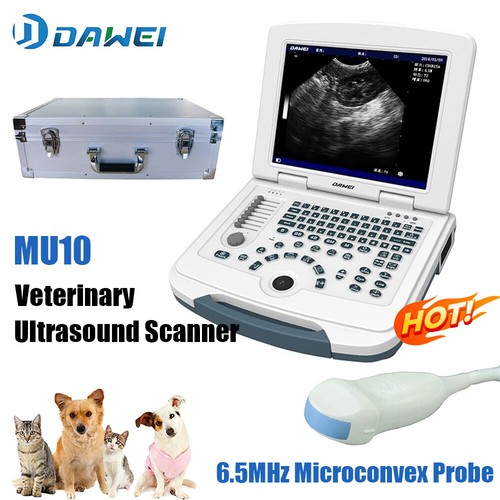 DAWEI Veterinary Laptop Ultrasound Machine Scanner Micro-Convex probe ...