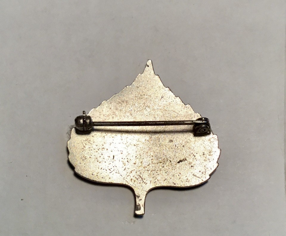 Aspen Ski Lapel Pin Colorado Ski Resort Green Leaf Silver Snowflake | eBay