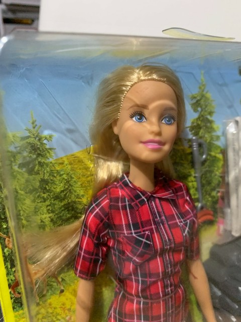 Mattel FDB44 Barbie SIS Campfire Doll Blonde for sale online | eBay
