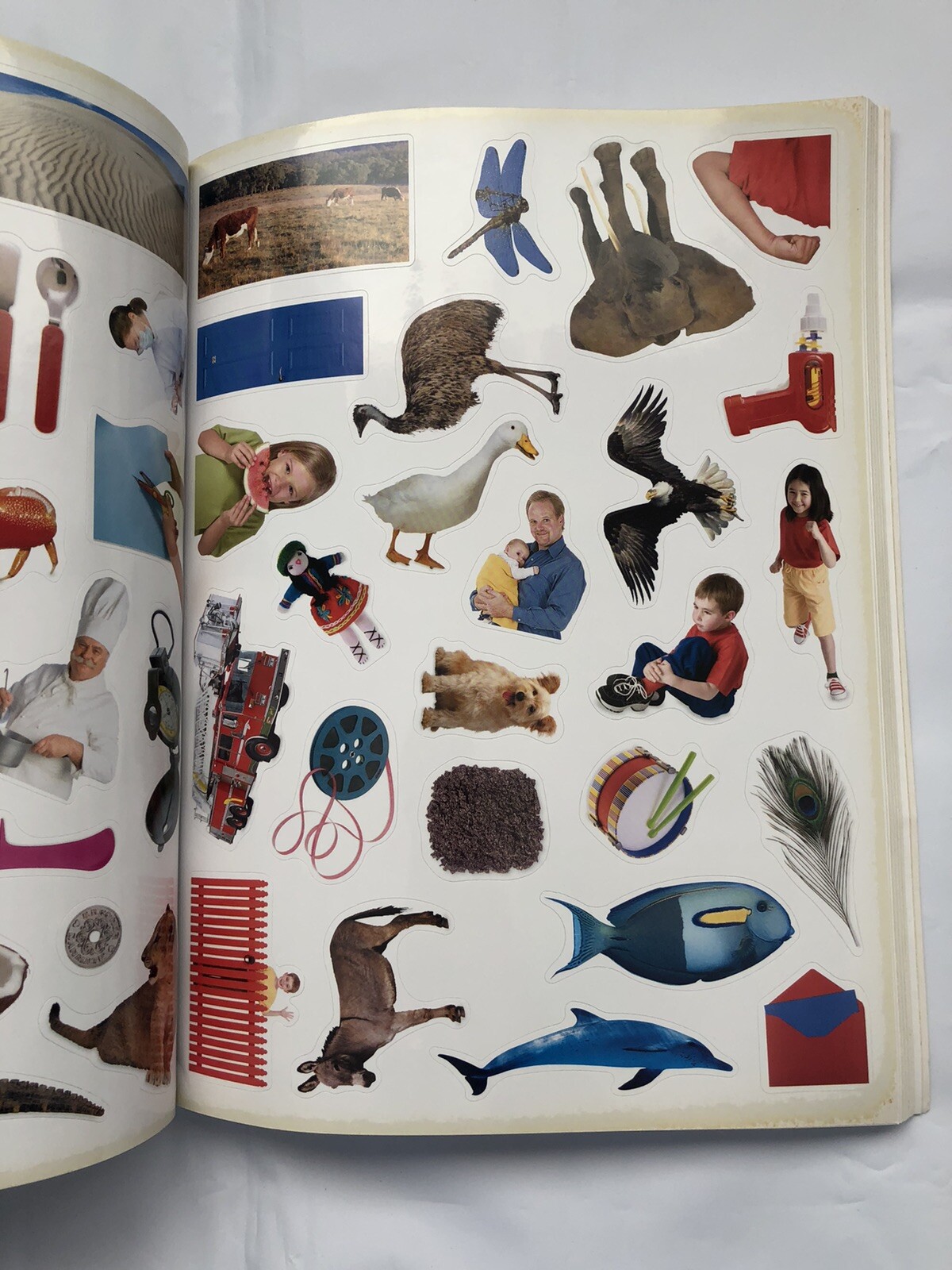 Sticker Books Ser.: My Big Sticker Dictionary : Fun and Educational ...