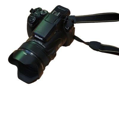 Nikon Coolpix P1000 Digital Camera 4K UHD 24-3000mm Lens EVF RAW LCD ...