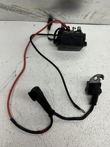 RustyFlips | eBay Stores