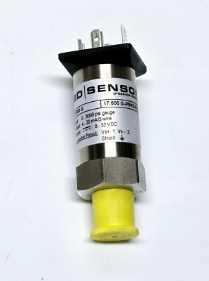 BD Sensors 17.600 Pressure Sensor BD 17.600 G-5000PSI-Large DIN-1/4 NPT ...