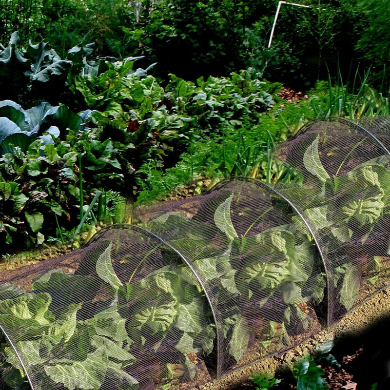 Seedling Tunnel Guard Mesh Anti Pest Flower Shield Veggie Patch Plant ...