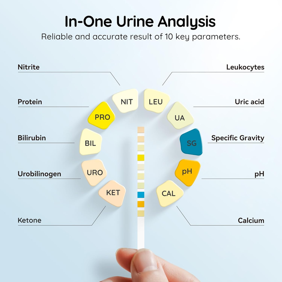 10-in-1 Urine Test Strips - UTI Test Strips for Urinalysis Full Panel ...