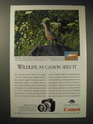 1994 Canon EOS 1 Camera Ad - Corncrake | eBay