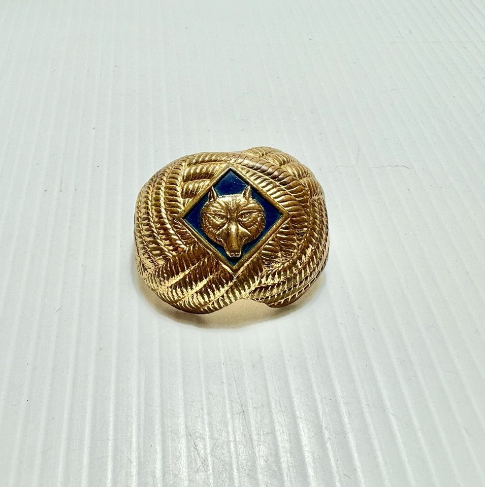 Vintage 1970’s Cub Scout Wolf Neckerchief Slide Blue/Gold Tone BSA | eBay