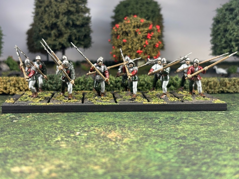 12x Billmen Tudor Perry Miniatures Wars of the Roses 28mm Painted | eBay UK