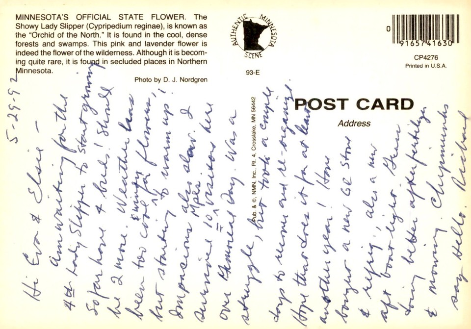 Minnesota State Flower Showy Lady Slipper, 1992 Postcard | eBay