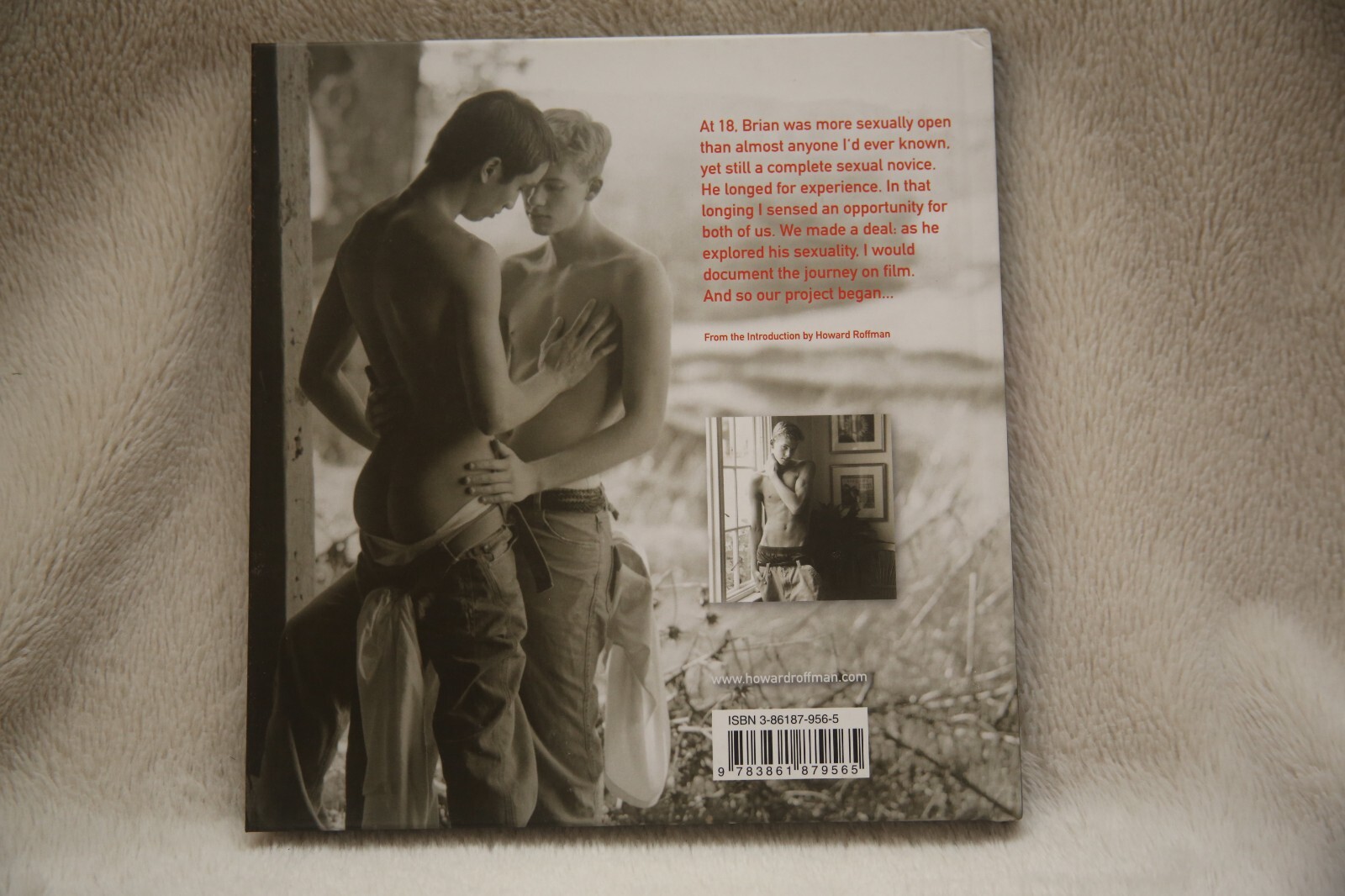 Loving Brian by Howard Roffman (2005, Hardcover) for sale online | eBay