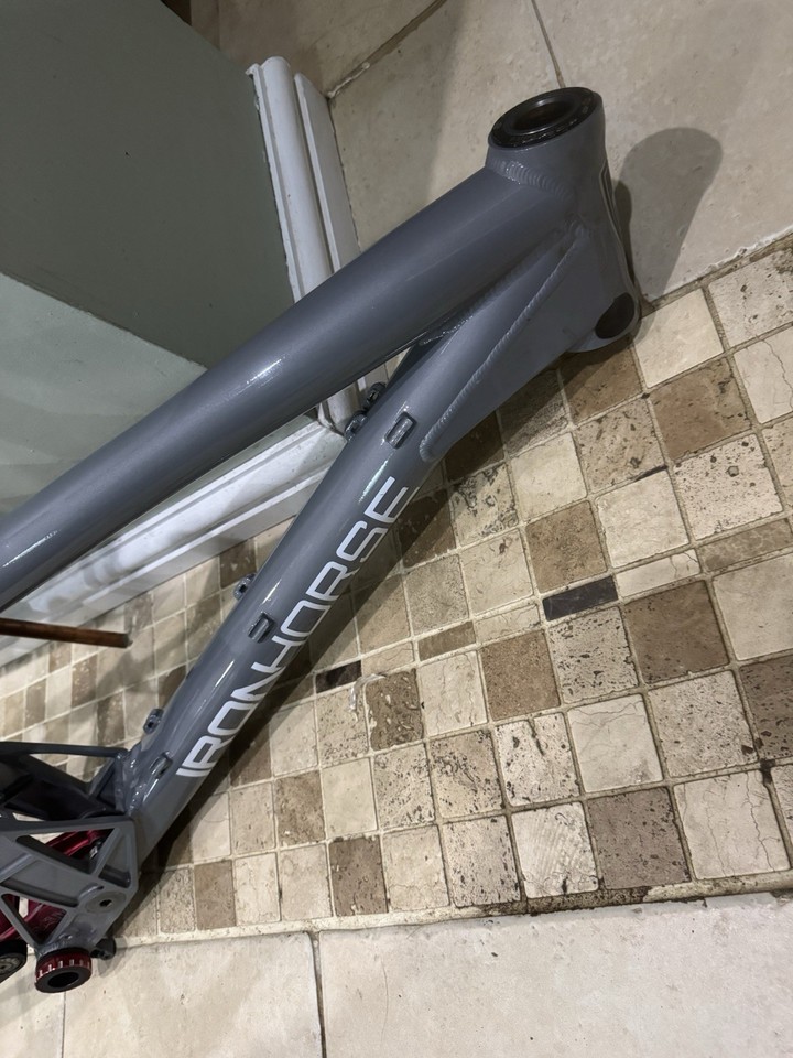 Iron Horse Sunday DH MTB Frame Size Large | eBay UK