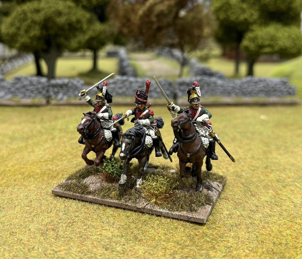Victrix 28mm French Napoleonic Dragoons | eBay UK