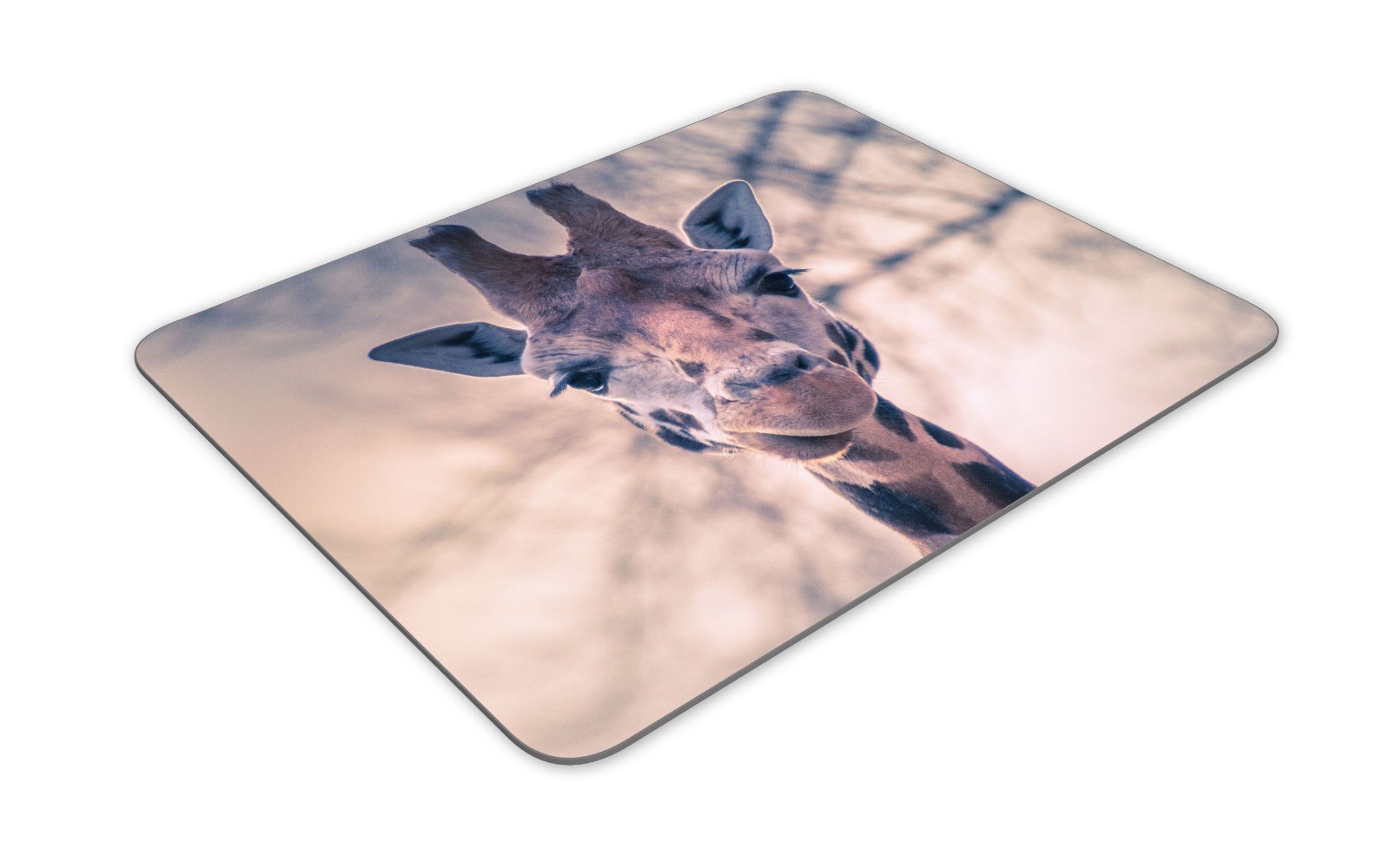 Beautiful Giraffe Mouse Mat Pad - Wild Animal Africa Safari Computer ...