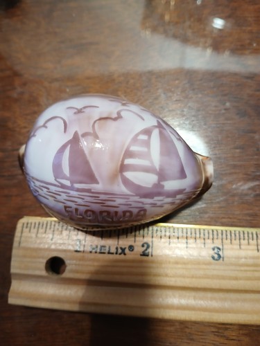 Vintage 1970s Carved Cowrie Shell Sailboat Seagulls, It's From Florida ...