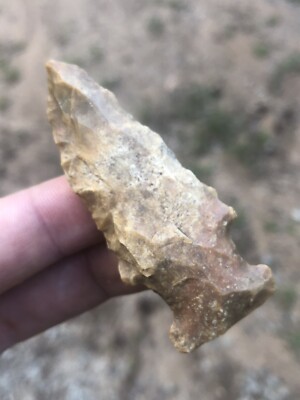 Greenbriar Authentic Georgia Florida Native American Artifacts Arrowheads | eBay