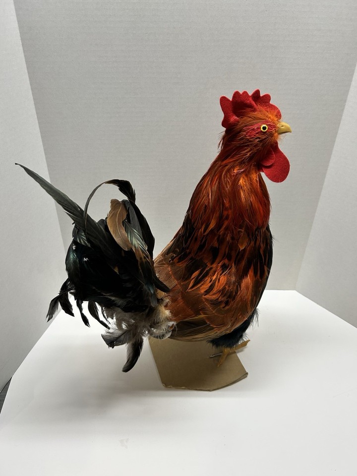 Realistic Feathered Rooster Chicken Decor LARGE 18"x10" FARMHOUSE Real ...
