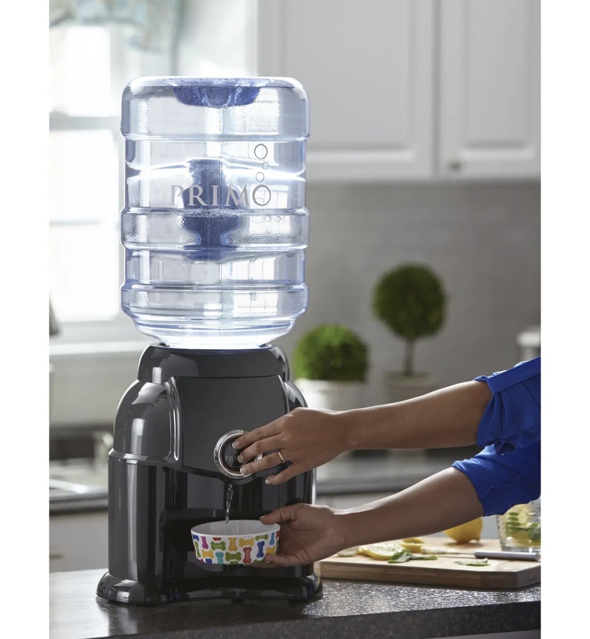 Primo Countertop Water Dispenser Top Self Auto Loading Room Temperature ...