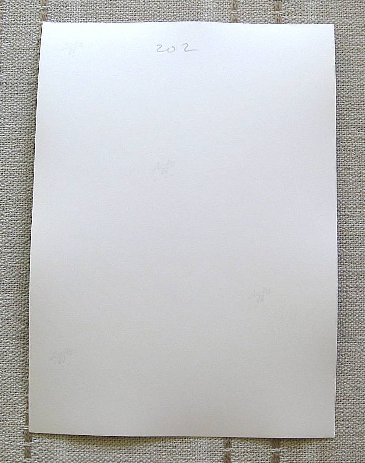 Bruce of Los Angeles Physique Photos of David Gregory | eBay
