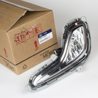 Genuine Fog Lamp Assy LEFT Side 2012-2016 Accent 92201-1R000 for ...