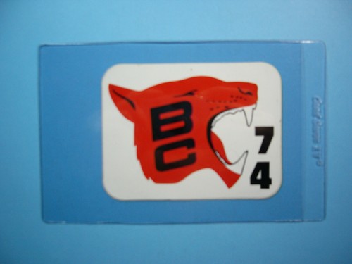 1974 B.C. LIONS CFL FOOTBALL HELMET DECAL LOGO STICKER PANEL SHARP ...