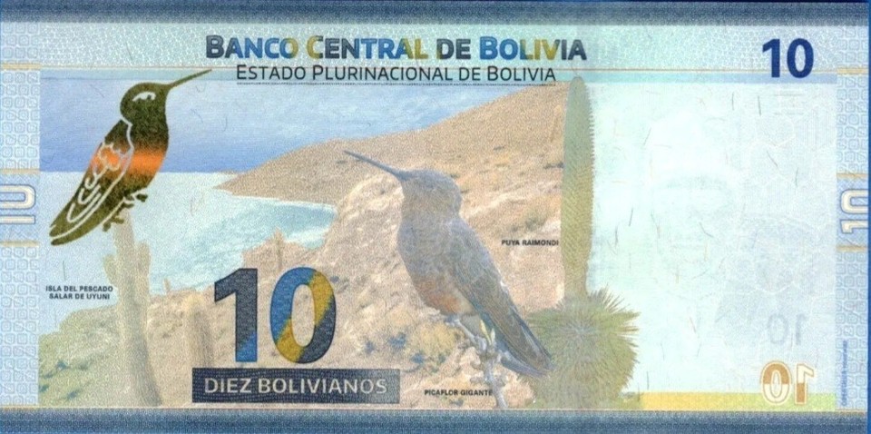 10 Bolivianos Bolivia Circulated Banknote. 2018 Bolivian Boliviano ...