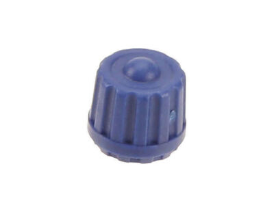 Motorcraft 79GR53J Fuel Pressure Relief Valve Cap Fits 2000-2010 Ford ...