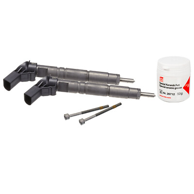 Bosch 2 Fuel Injector Ceramic Grease & Bolt Kit For Mercedes W211 X164 ...