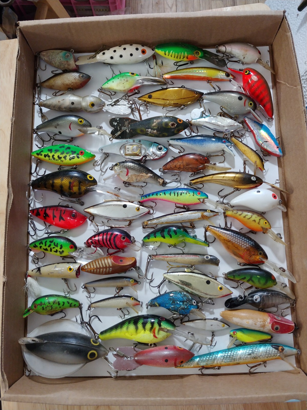 Lot of 50 Beater Crankbait Fishing Lures Bagley Rapala Storm Bomber ...