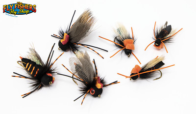 Cicada Fishing Flies 6 Pack - Rainy's Flies Ultimate Cicada & Criss ...