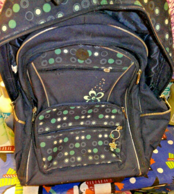 LIMITED TOO BACKPACK SUITCASE ON WHEELS TRAVEL W/ SIDE NETS BLUE | eBay