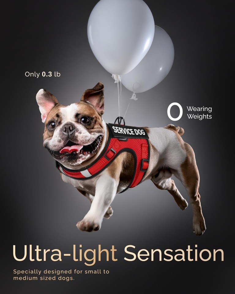 Service Dog Vest for Small Dogs Air Mesh Breathble Emotional Support ...