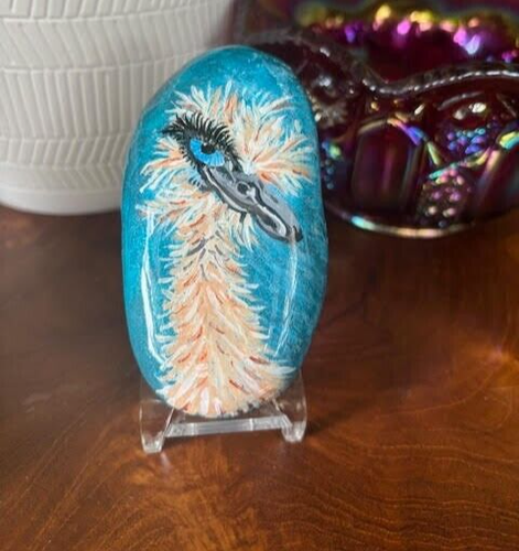 Original Collectible Hand Painted Kindness Rock "Pretty Emu " Garden ...
