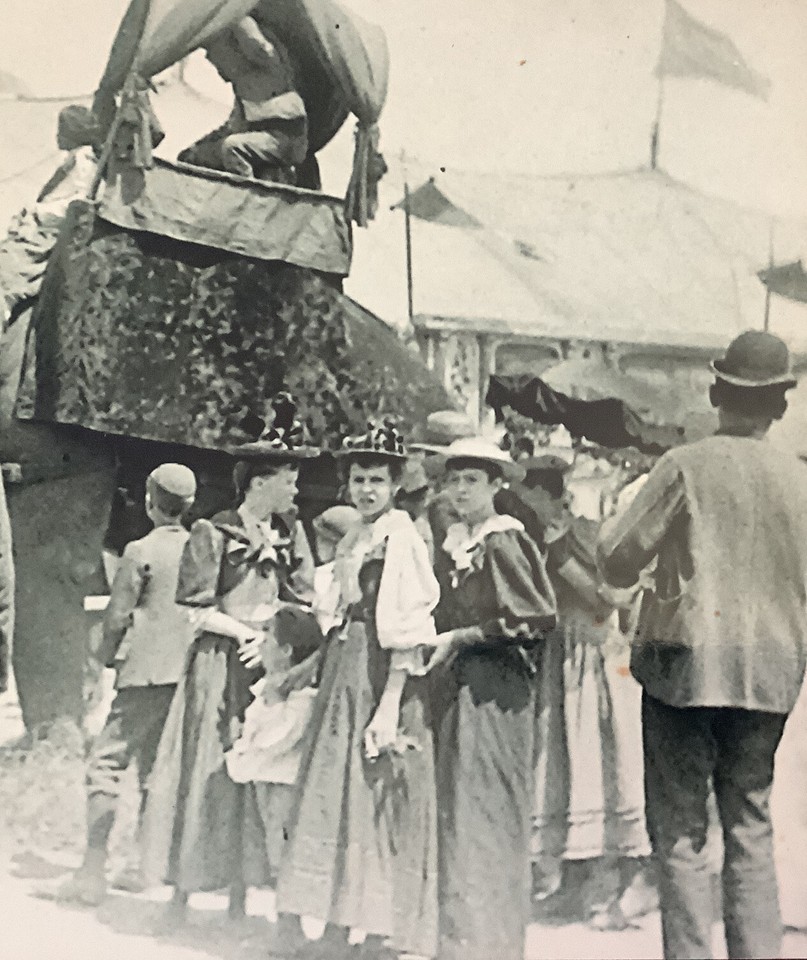 Brooklyn NYC ? Circus Elephant Rides Marching Circus Tent 1890’s ...