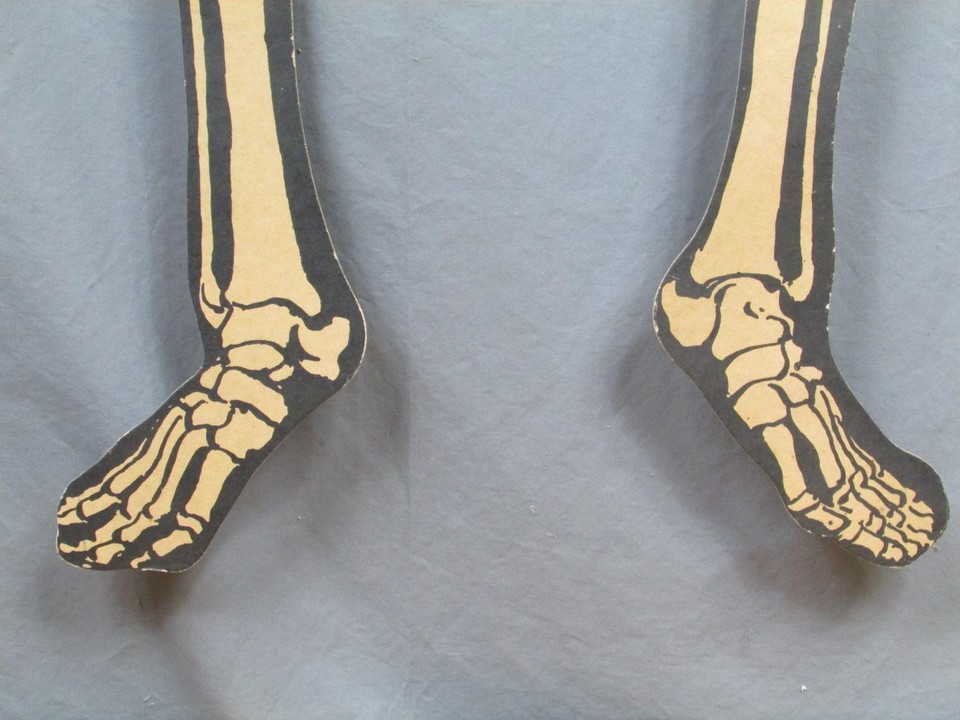 Vintage 1950s Halloween Beistle DieCut Jointed Skeleton Decoration Life ...