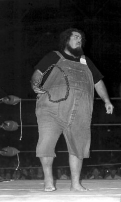 WRESTLING SUPERSTARS - HAYSTACKS CALHOUN 3 VOLUME SET- PRO WRESTLING | eBay